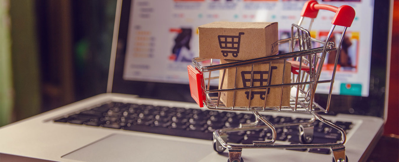 Shopify Development Toronto | WireTree